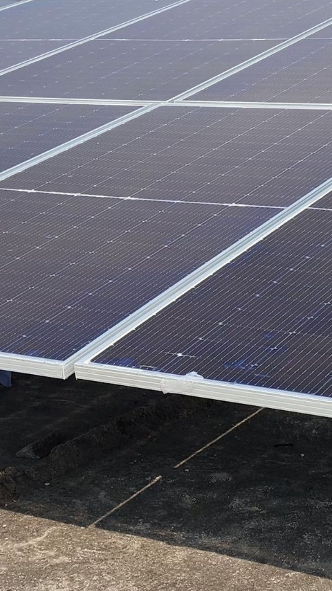 Shree Varshini Enterprises